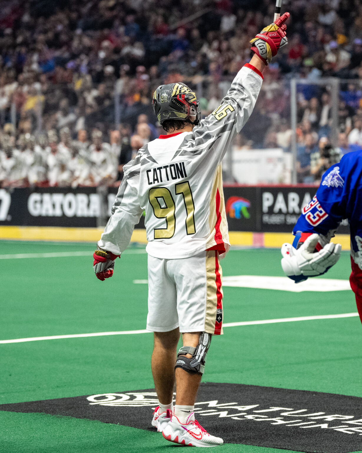 Player Insight: Taite Cattoni is Much More Than Just Holden's Younger ...
